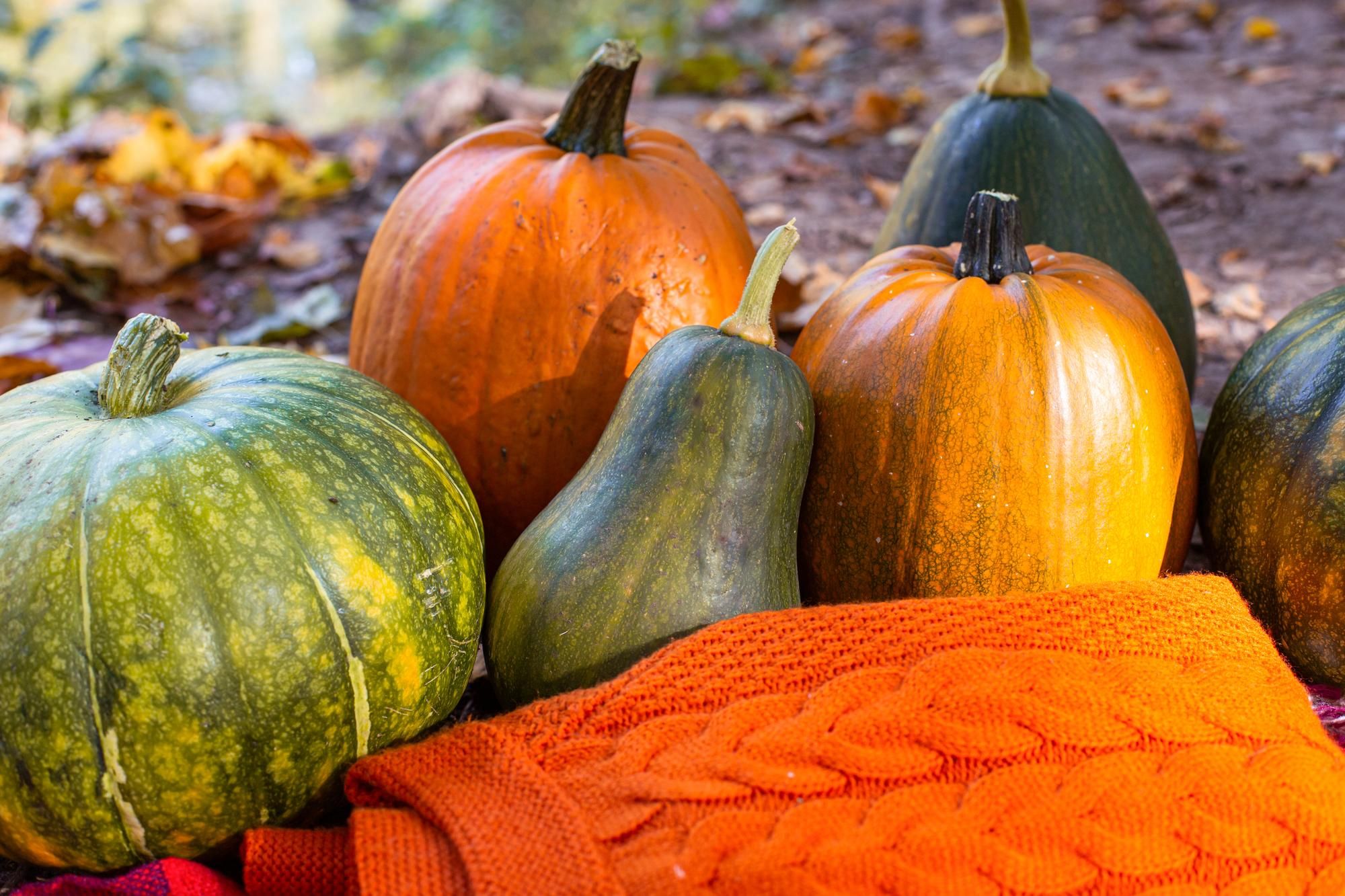 Fall Curb Appeal: Quick and Easy Outdoor Décor Hacks that Wow