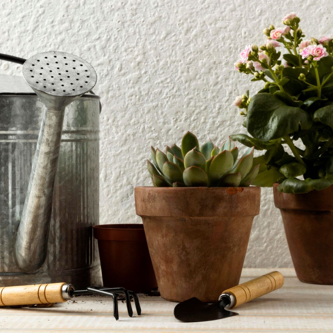Adding Greenery to Home Decor - The Power of Plants - Living Out Joy