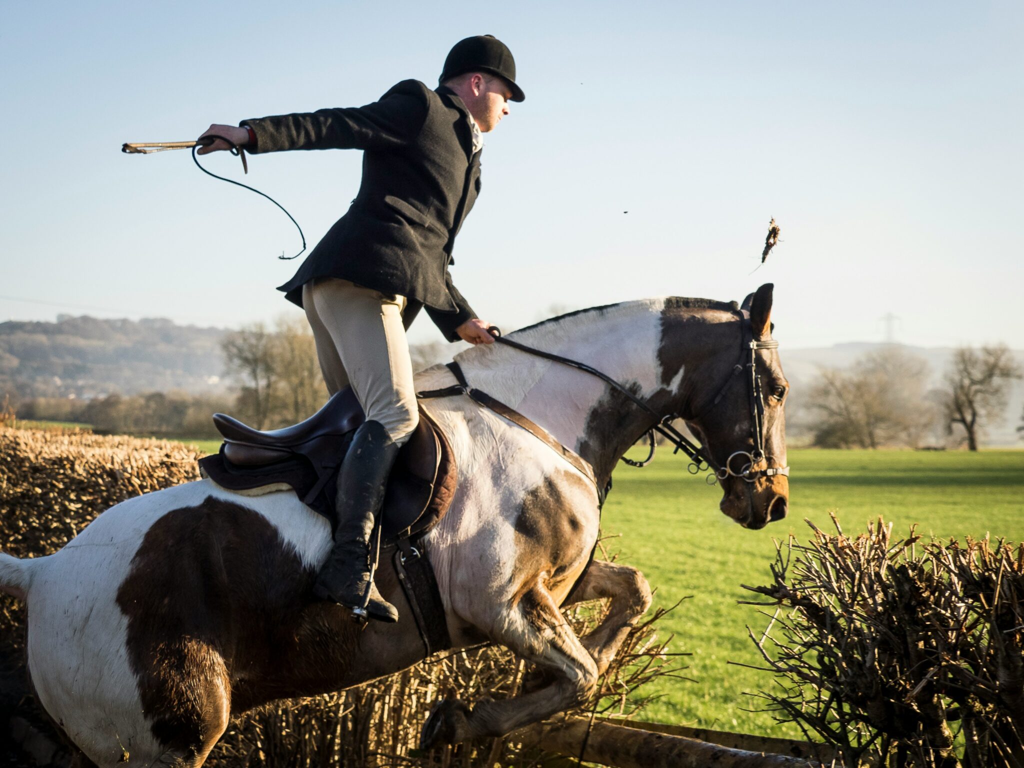 English Horse Riding: Discover the Timeless Elegance - Living Out Joy